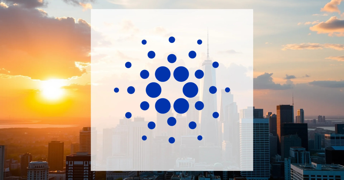 Börse Express - Cardano: Institutionen rücken an