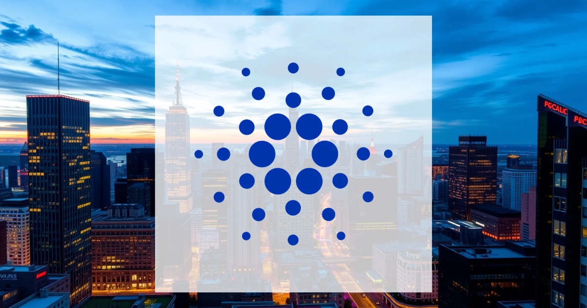 Börse Express - Cardano: Investoren greifen wieder zu
