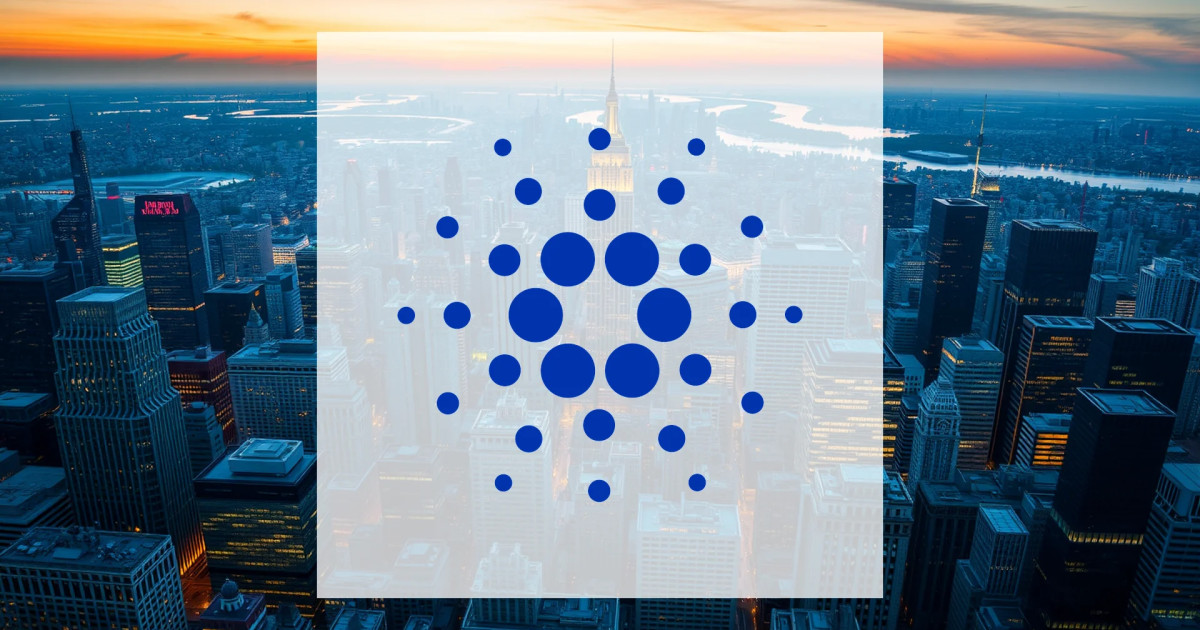 Börse Express - Cardano: Guter Investitionserfolg!