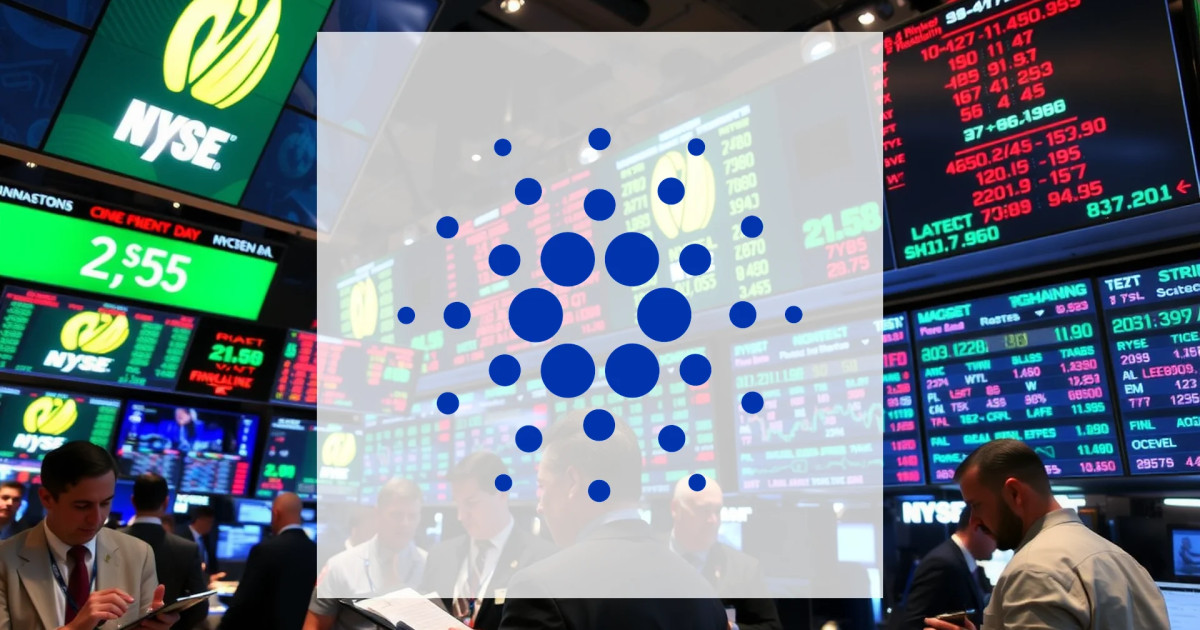 Börse Express - Cardano: Institutionen rücken näher