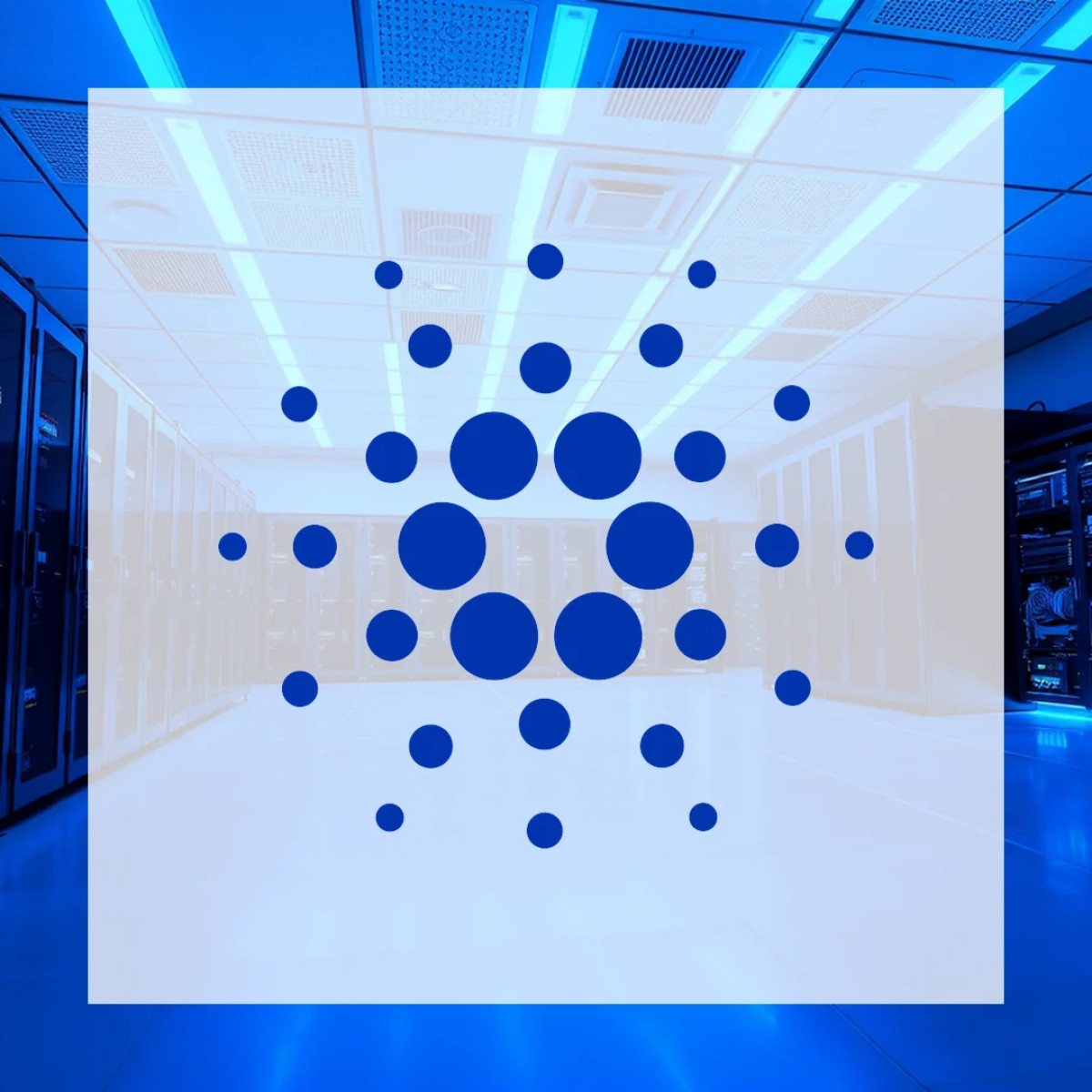 Börse Express - Cardano: Wale kaufen massiv zu