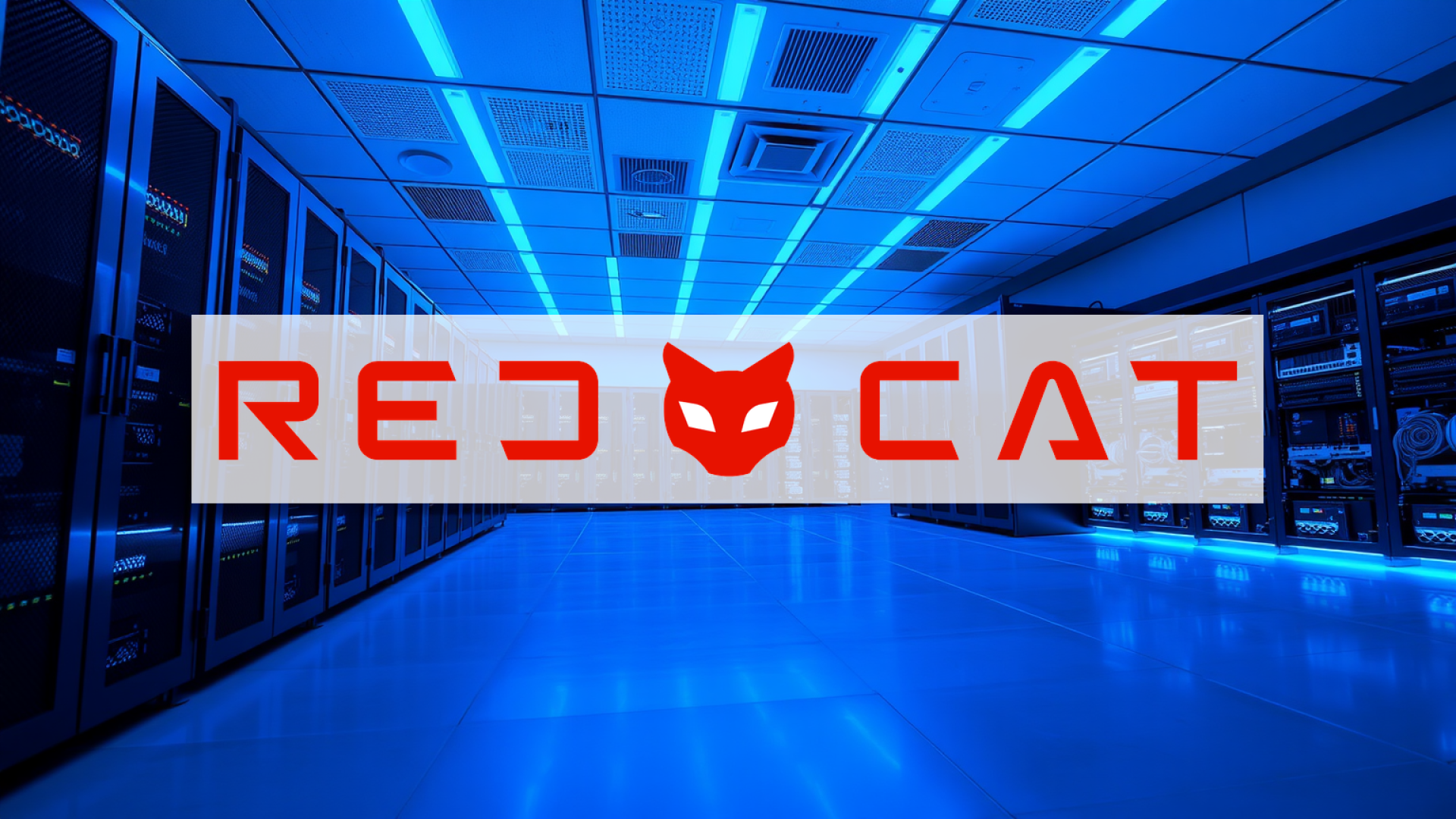 Börse Express - Red Cat Aktie: Stabiler Wachstumsfaktor