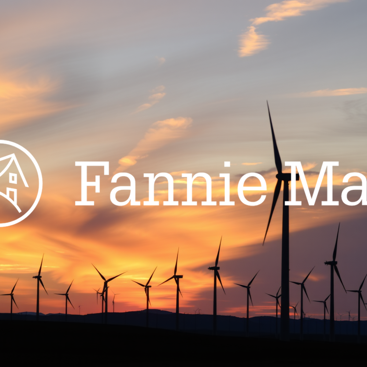 Börse Express - Fannie Mae Aktie: Spektakuläre Rally – aber wie nachhaltig?