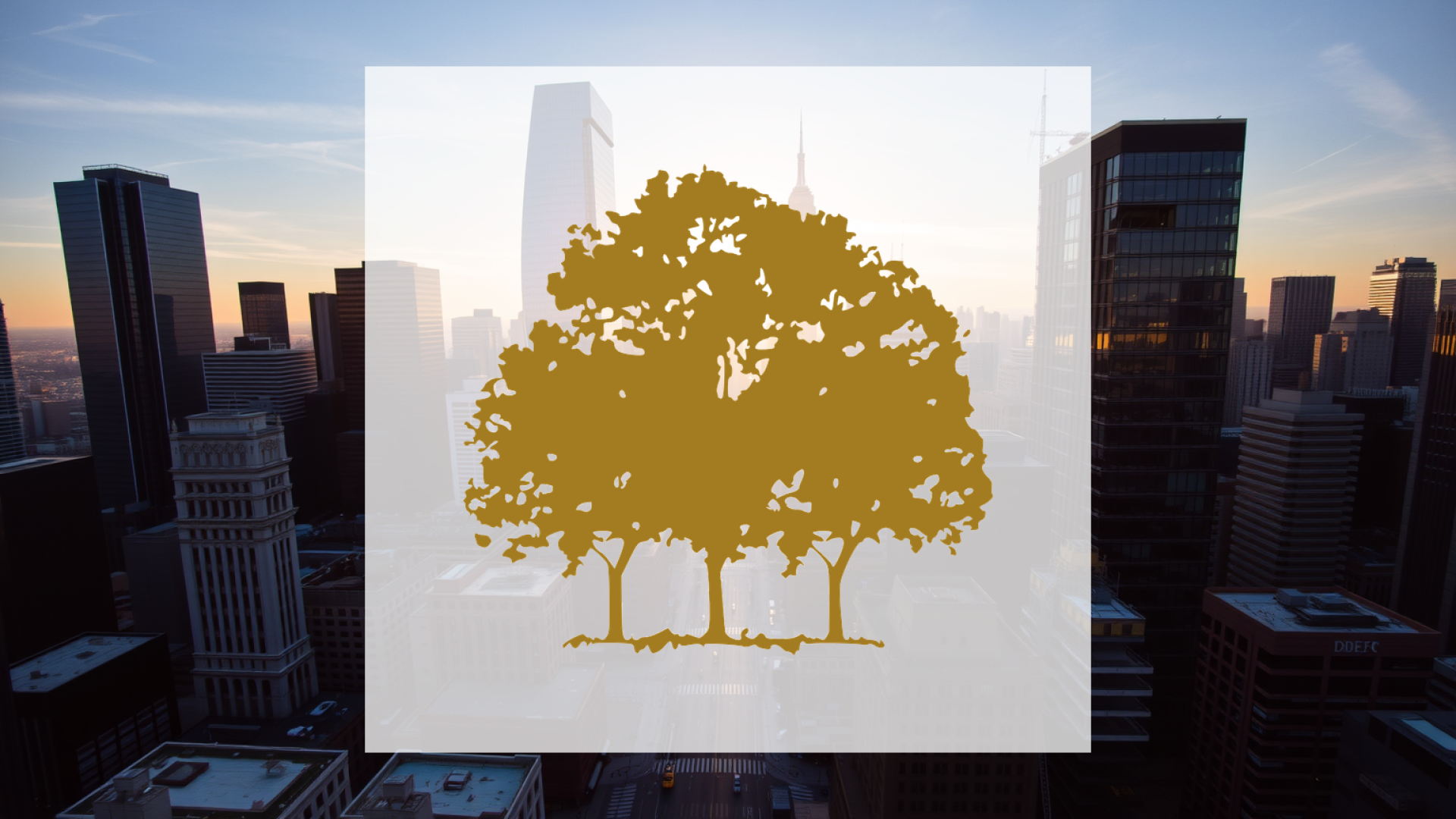 Bokep hair flip i can't say much about them, but when it